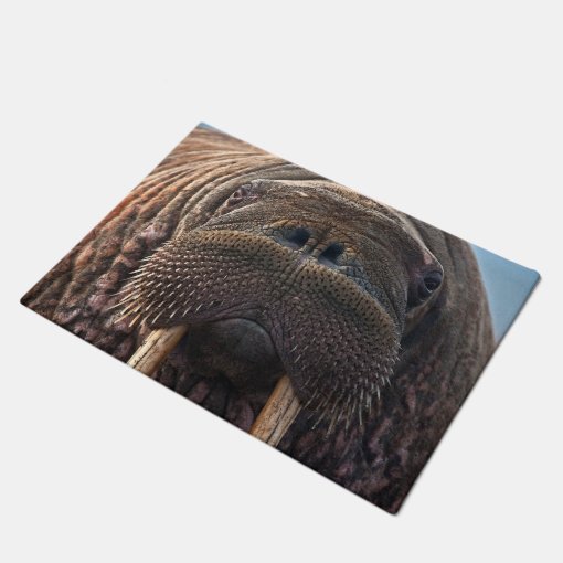 Walrus Face Doormat | Zazzle