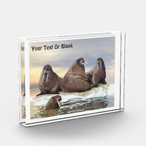 Walrus - Four Brothers Photo Block | Zazzle