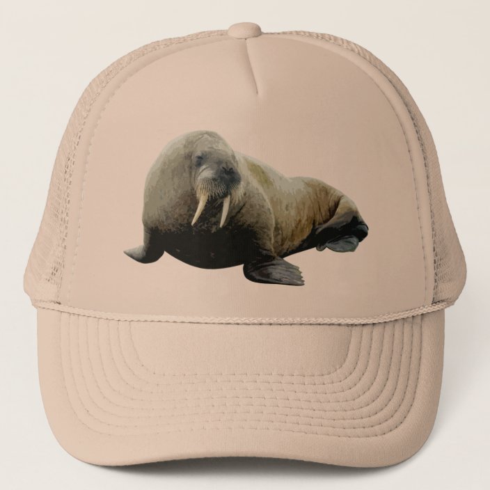 Walrus Hat | Zazzle.com