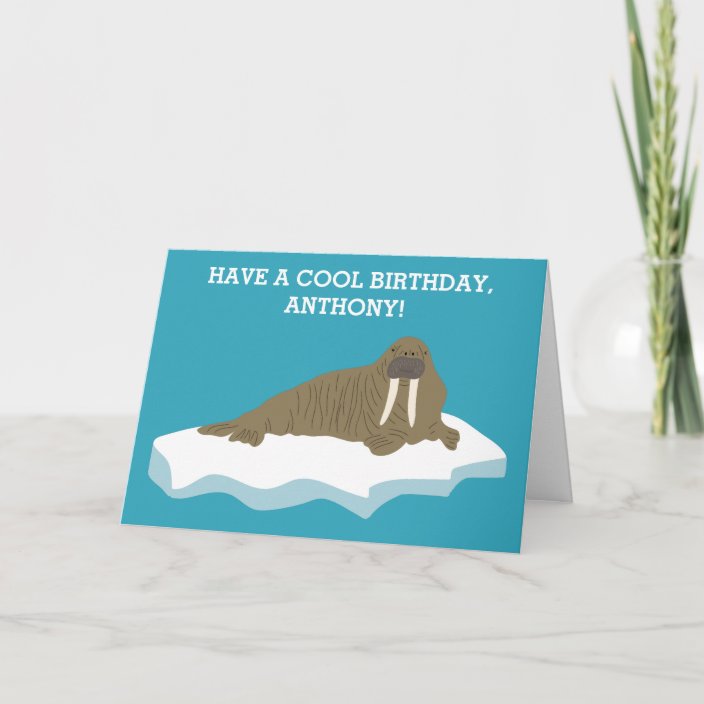 Walrus on an Iceberg Illustration Birthday Card | Zazzle.com