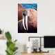 Walrus Poster | Zazzle