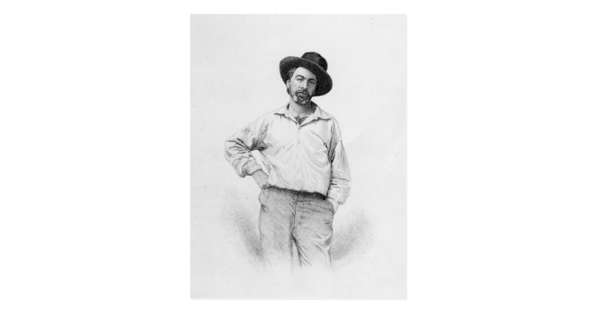 Walt Whitman, frontispiece to 'Leaves of Postcard | Zazzle.com