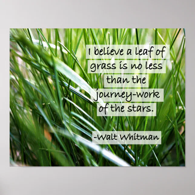 Walt Whitman Quote- Poster | Zazzle