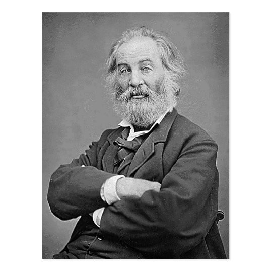 Walt Whitman Seated Portrait Photograph Age 47 Postcard | Zazzle.com