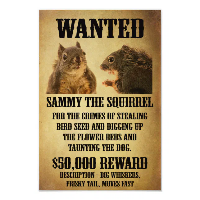 Wanted Poster with Squirrel | Zazzle