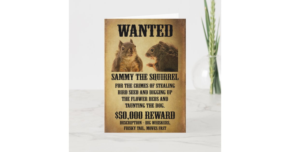Wanted Poster with Squirrel Card | Zazzle