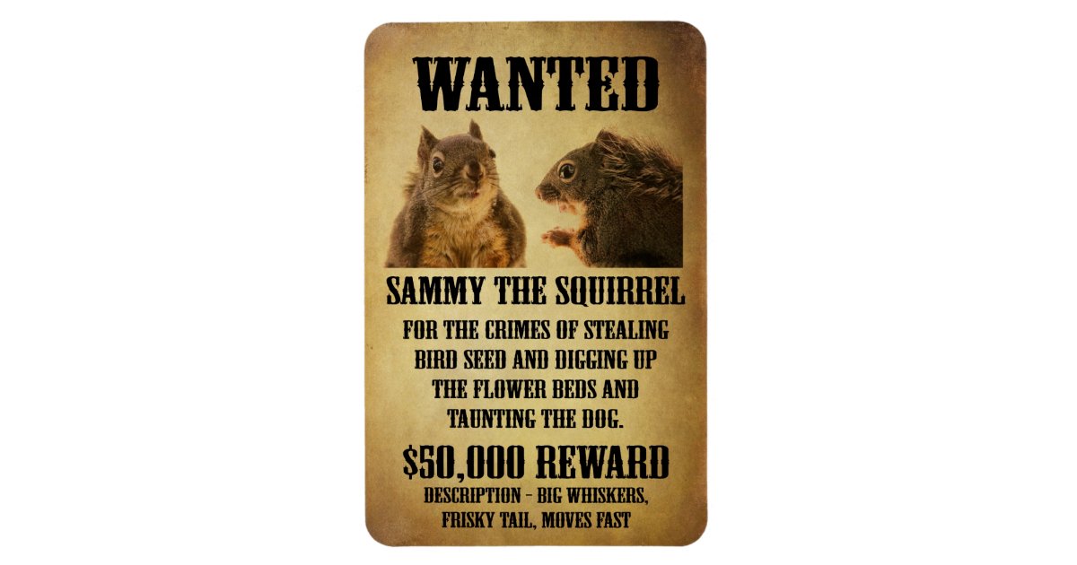 Wanted Poster with Squirrel Magnet | Zazzle