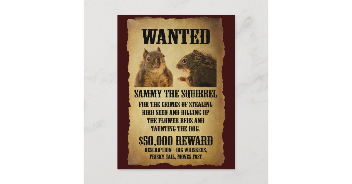 Wanted Poster with Squirrel Postcard | Zazzle