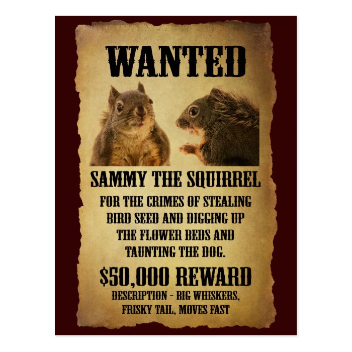 Wanted Poster with Squirrel Postcard | Zazzle