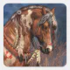 War Pony Stickers | Zazzle