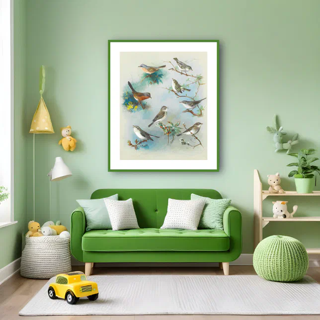 Warbler and Wrens, Poster | Zazzle