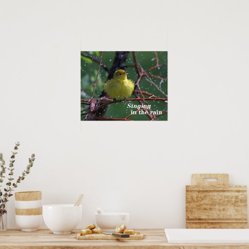 Warbler Poster | Zazzle
