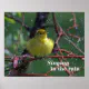 Warbler Poster | Zazzle