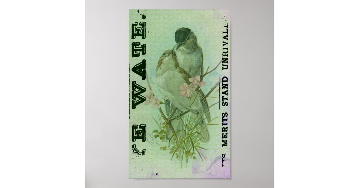 Warbler Vintage Poster | Zazzle