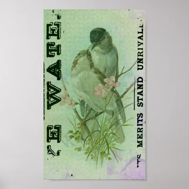 Warbler Vintage Poster | Zazzle