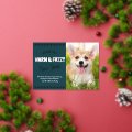 Warm and Fuzzy Pet New Year Photo Teal Real Gold Foil Holiday Card | Zazzle