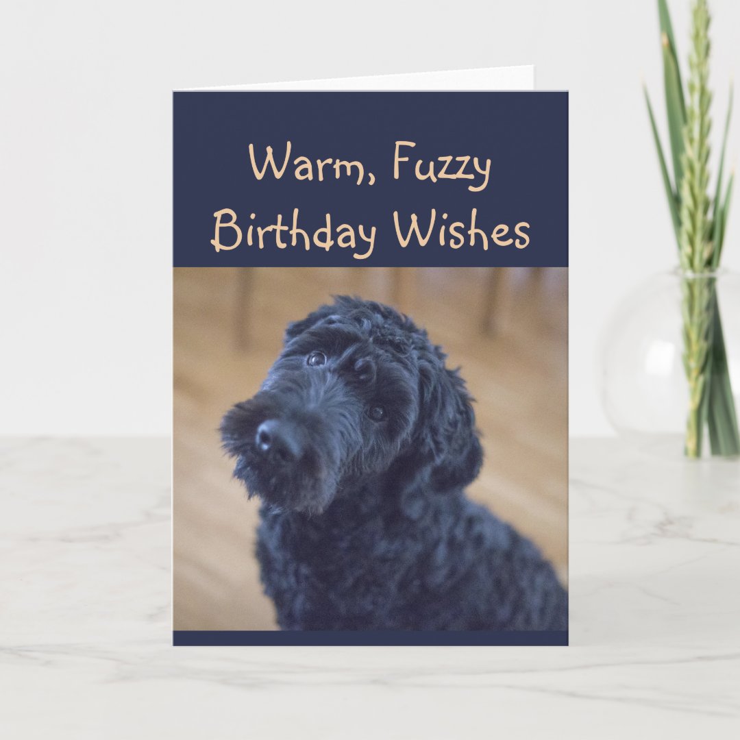 Warm, Fuzzy Birthday Wishes Cute Black Dog Card | Zazzle