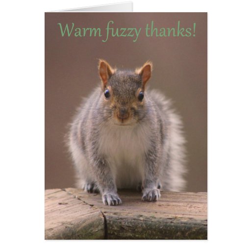 Warm fuzzy squirrel thank you! card | Zazzle