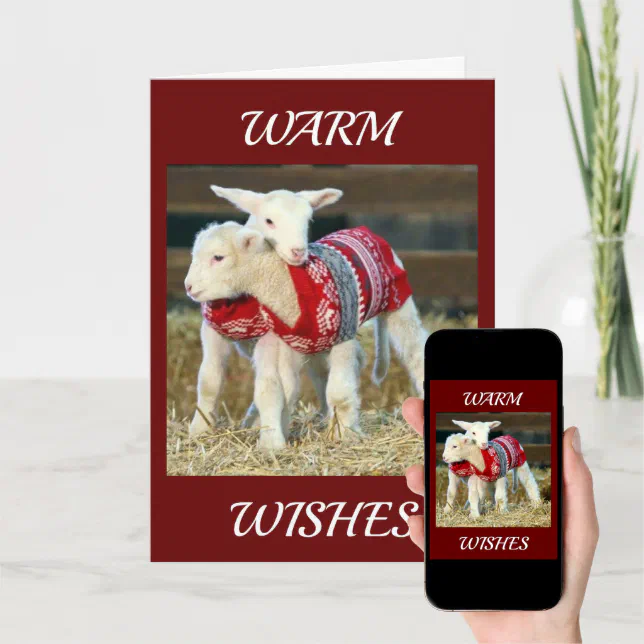 WARM WISHES FROM GOATS WITH SWEATERS AT CHRISTMAS CARD | Zazzle