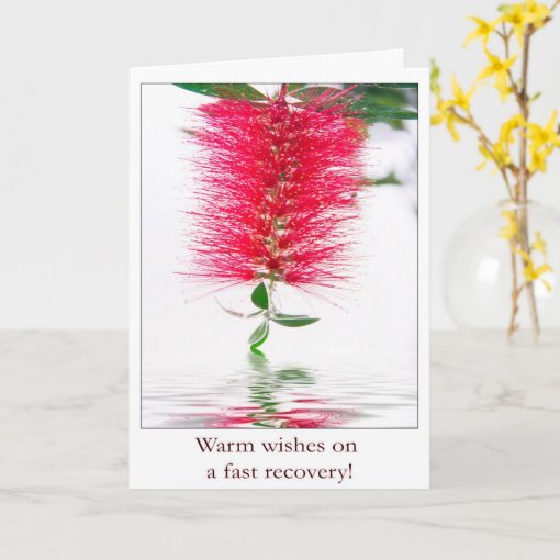Warm Wishes On A Fast Recovery Flower Card | Zazzle