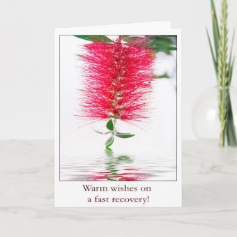 Warm Wishes On A Fast Recovery Flower Card | Zazzle