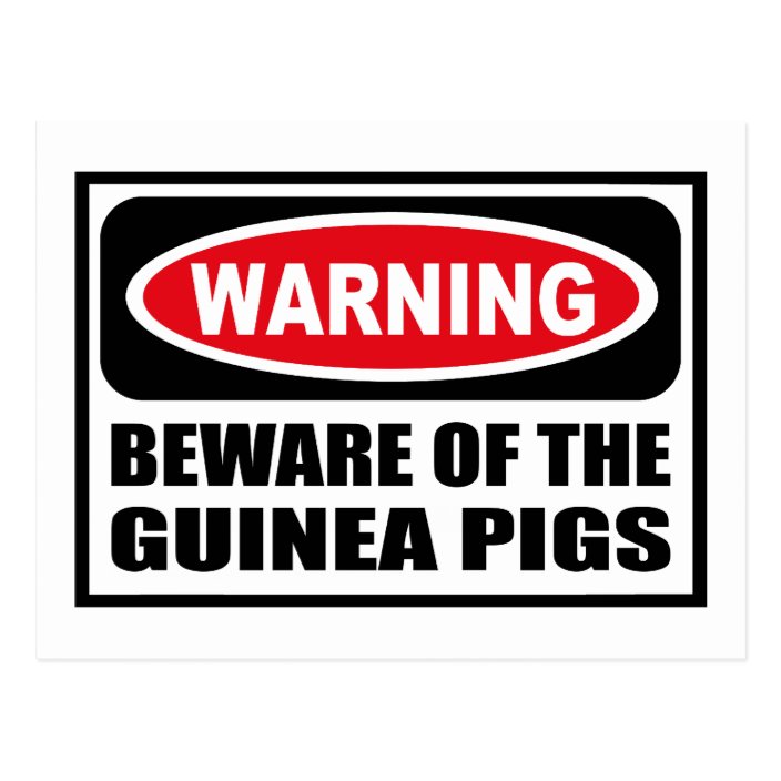 Warning BEWARE OF THE GUINEA PIGS Postcard | Zazzle.com
