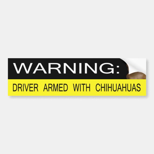 Warning: Driver Armed With Chihuahuas Bumper Sticker | Zazzle.com