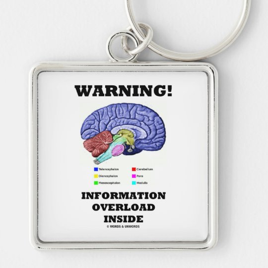Warning! Information Overload Inside (Brain Humor) Keychain | Zazzle.com