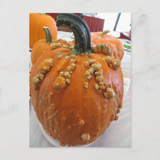 Warted Pumpkin Postcard | Zazzle