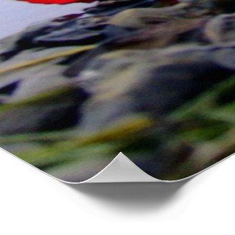 Washed Ashore Red Rose Poster | Zazzle