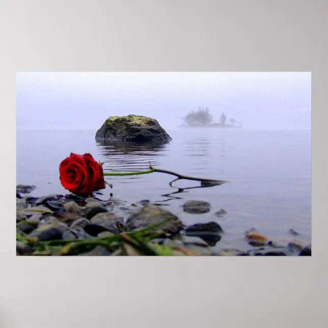 Washed Ashore Red Rose Poster | Zazzle