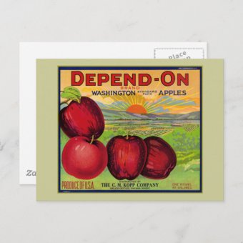 Washington Apples Postcard | Zazzle