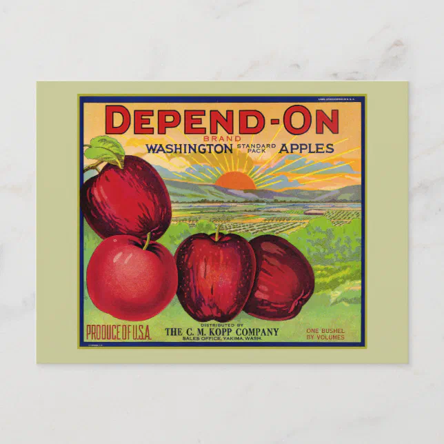 Washington Apples Postcard | Zazzle