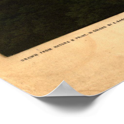 Washington DC 1857 Antique Panoramic Map Poster | Zazzle