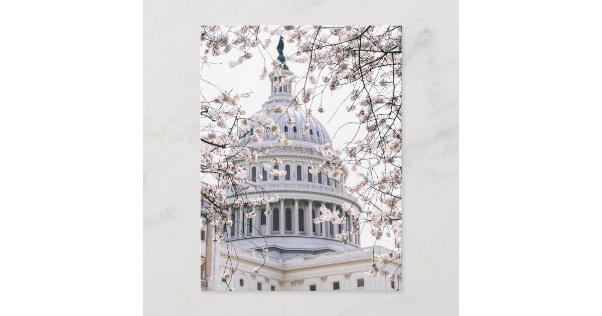 Washington DC | Capitol Building Postcard | Zazzle