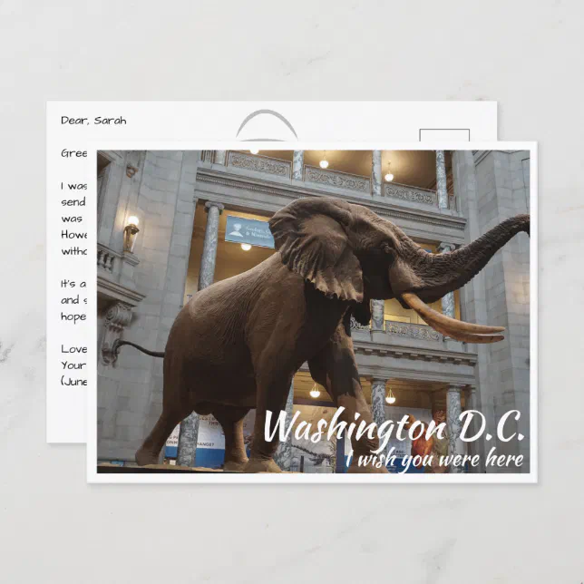 Washington DC Smithsonian Museum National History Postcard | Zazzle