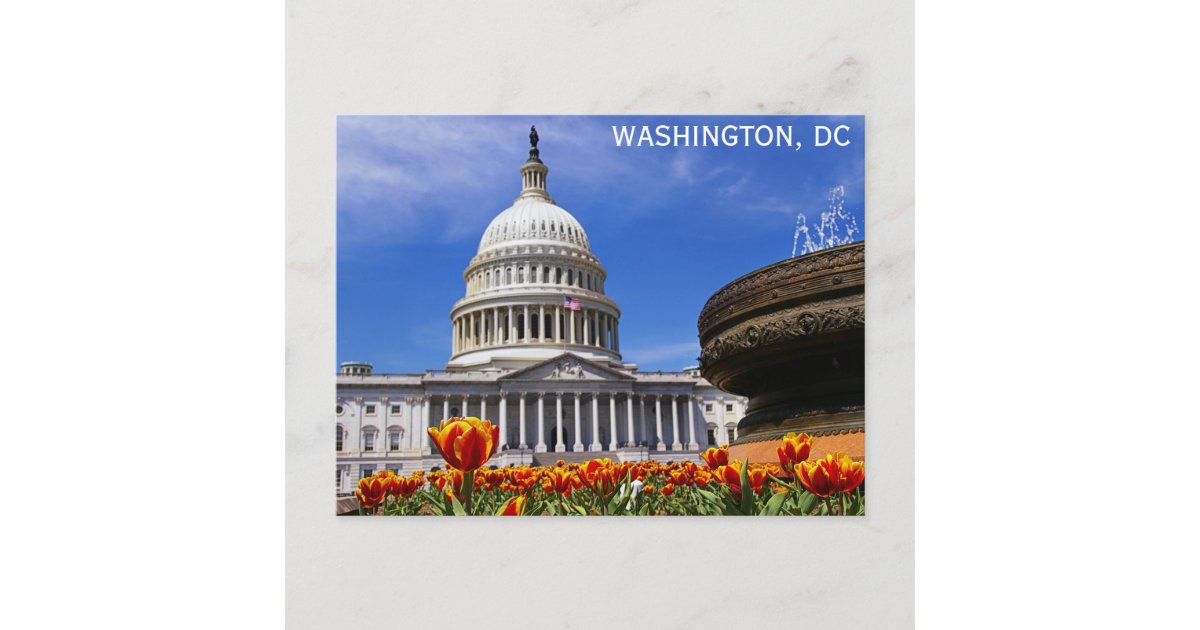 Washington DC United States Capitol Building Postcard | Zazzle