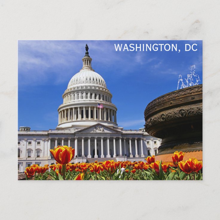 Washington DC United States Capitol Building Postcard | Zazzle