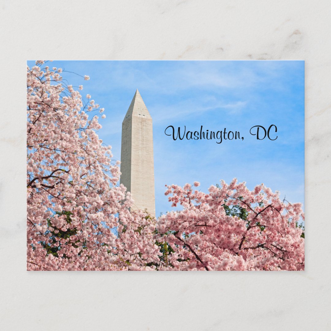 Washington Monument Postcard | Zazzle