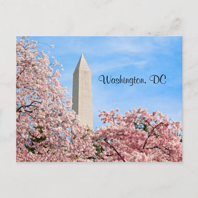 Washington Monument Postcard | Zazzle