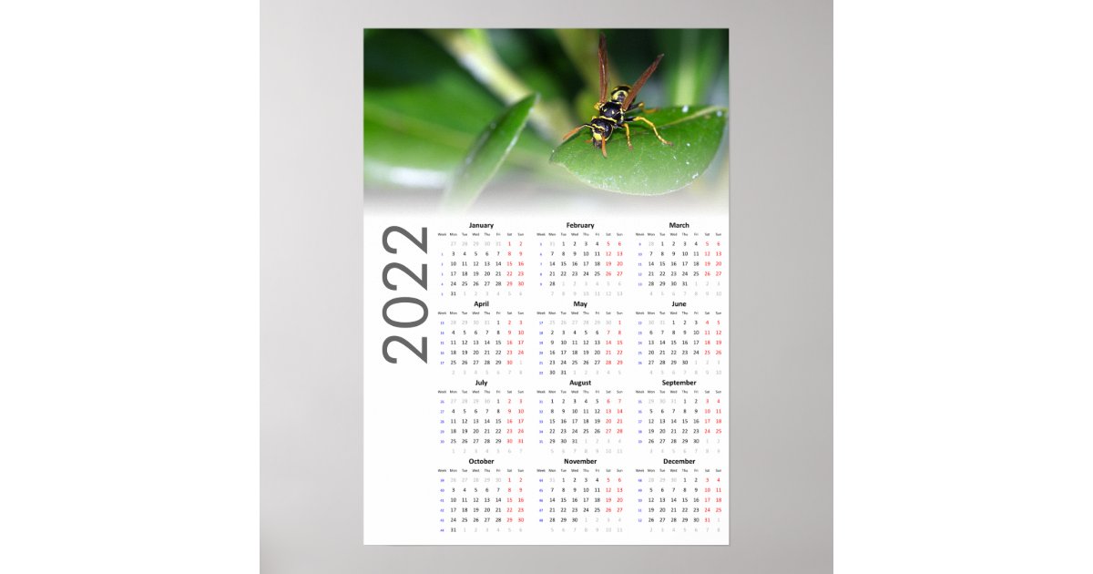 Wasp Calendar 2022 Poster - Monday start | Zazzle