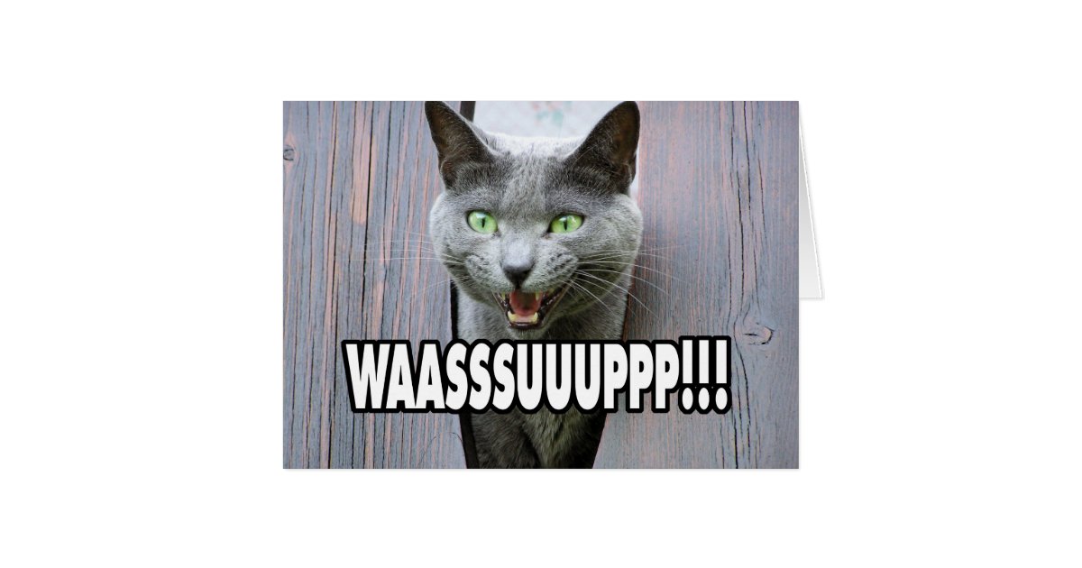 WASSUP - Cat Meme | Zazzle
