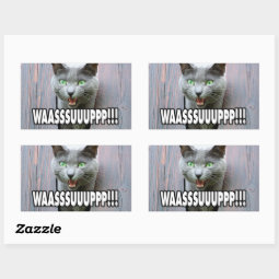 WASSUP - Cat Meme Rectangular Sticker | Zazzle
