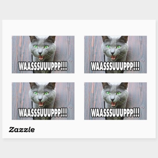 WASSUP - Cat Meme Rectangular Sticker | Zazzle