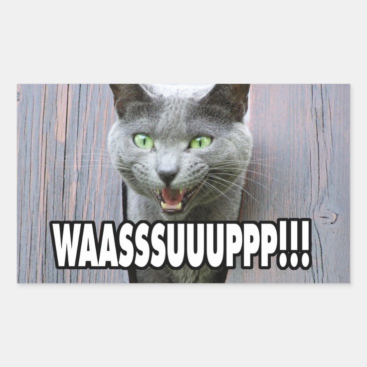 WASSUP - Cat Meme Rectangular Sticker | Zazzle