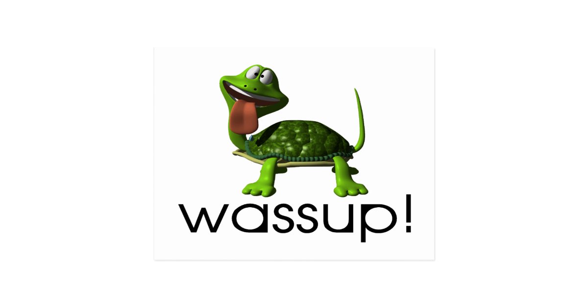 Wassup Turtle Postcard | Zazzle.com