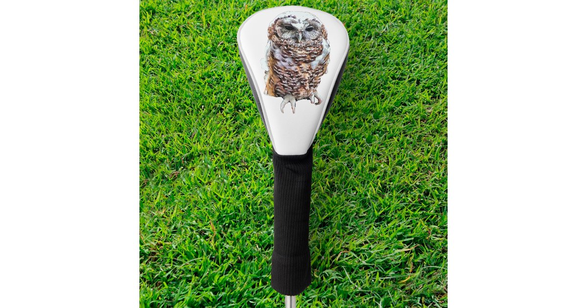 Watchful Owl Golf Head Cover | Zazzle