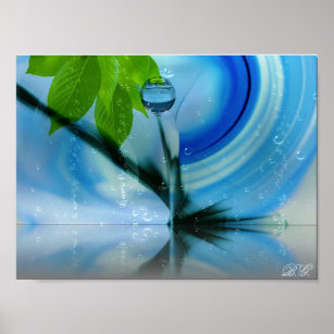 Water Drop Posters & Photo Prints | Zazzle