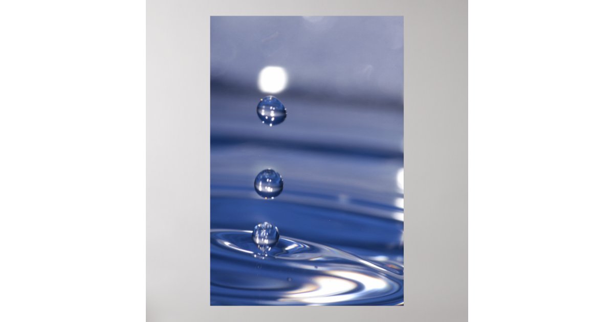 Water Drops Poster | Zazzle