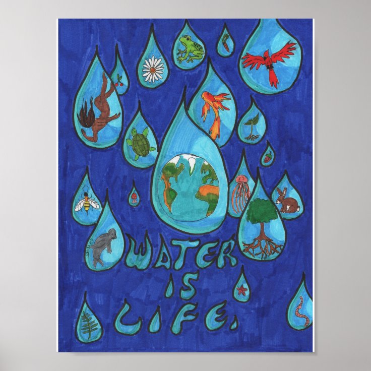 Water is Life Poster | Zazzle
